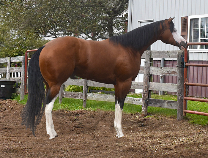 Double L Acres' TELACHROME